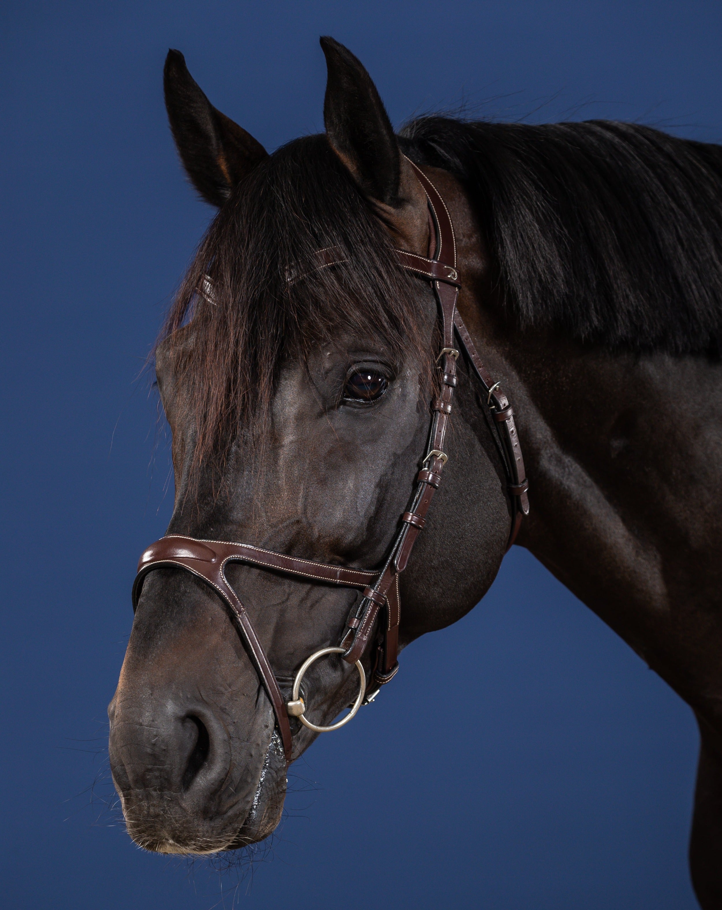 Dy'on X-Fit Bridle, Brown, US Collection – Dapper Horse