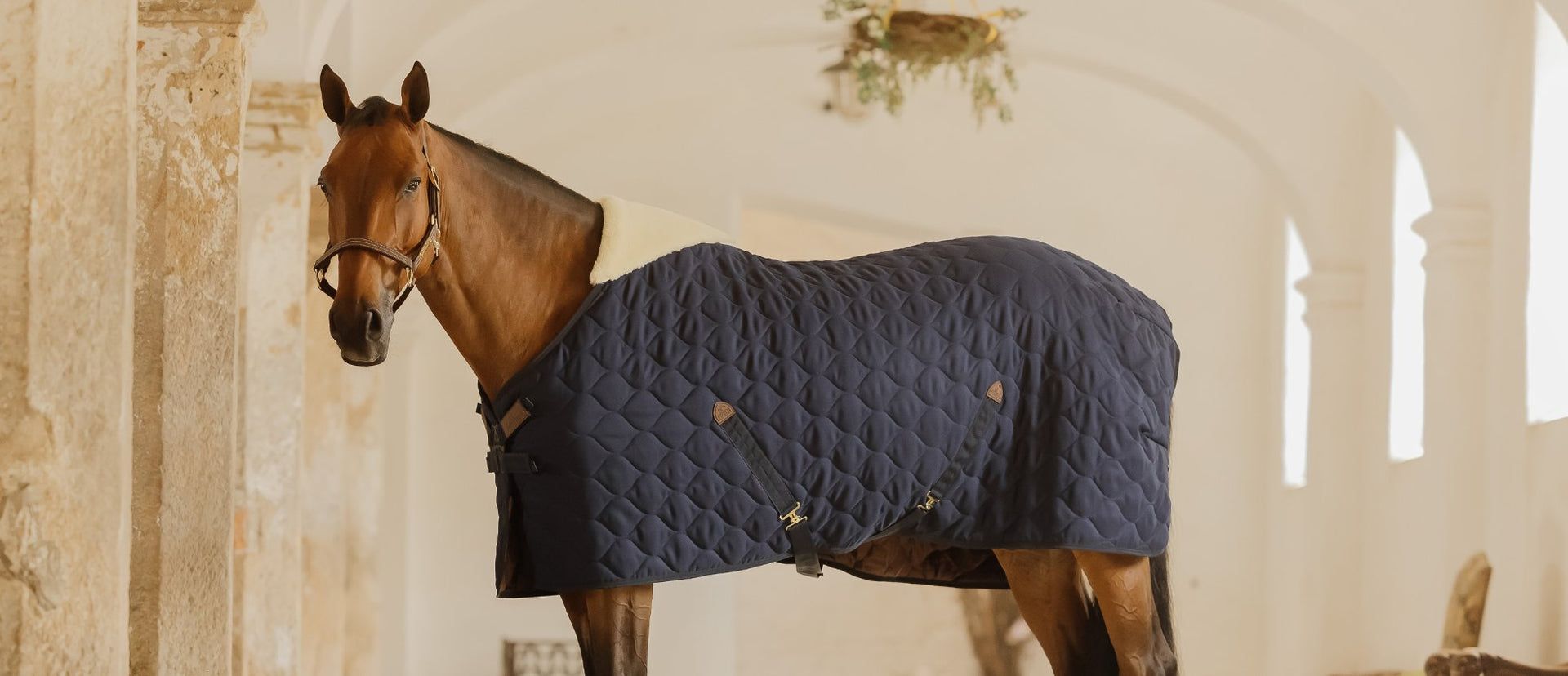 The #1 Store In The USA For Equestrian Saddle Pads – Dapper Horse