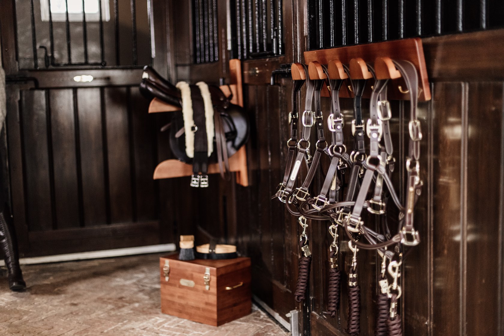 Horse Tack and Horse Supplies – Dapper Horse