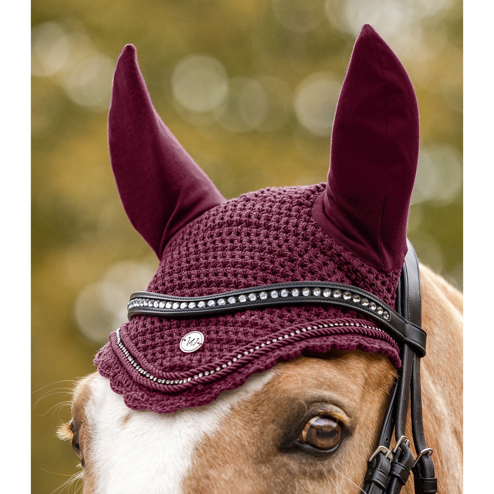 Waldhausen Equestrian – Dapper Horse