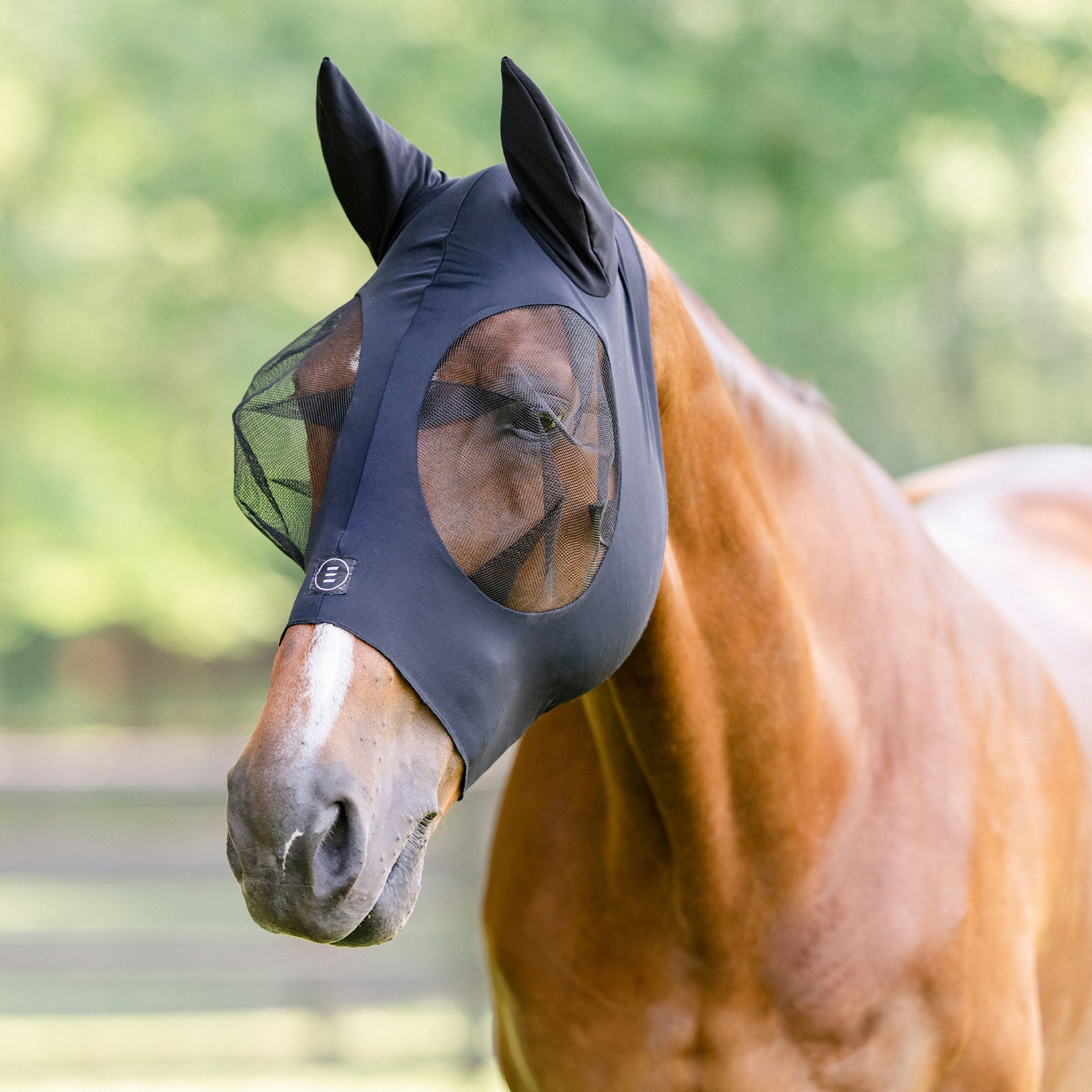 Equifit Essential Fly Mask – Dapper Horse