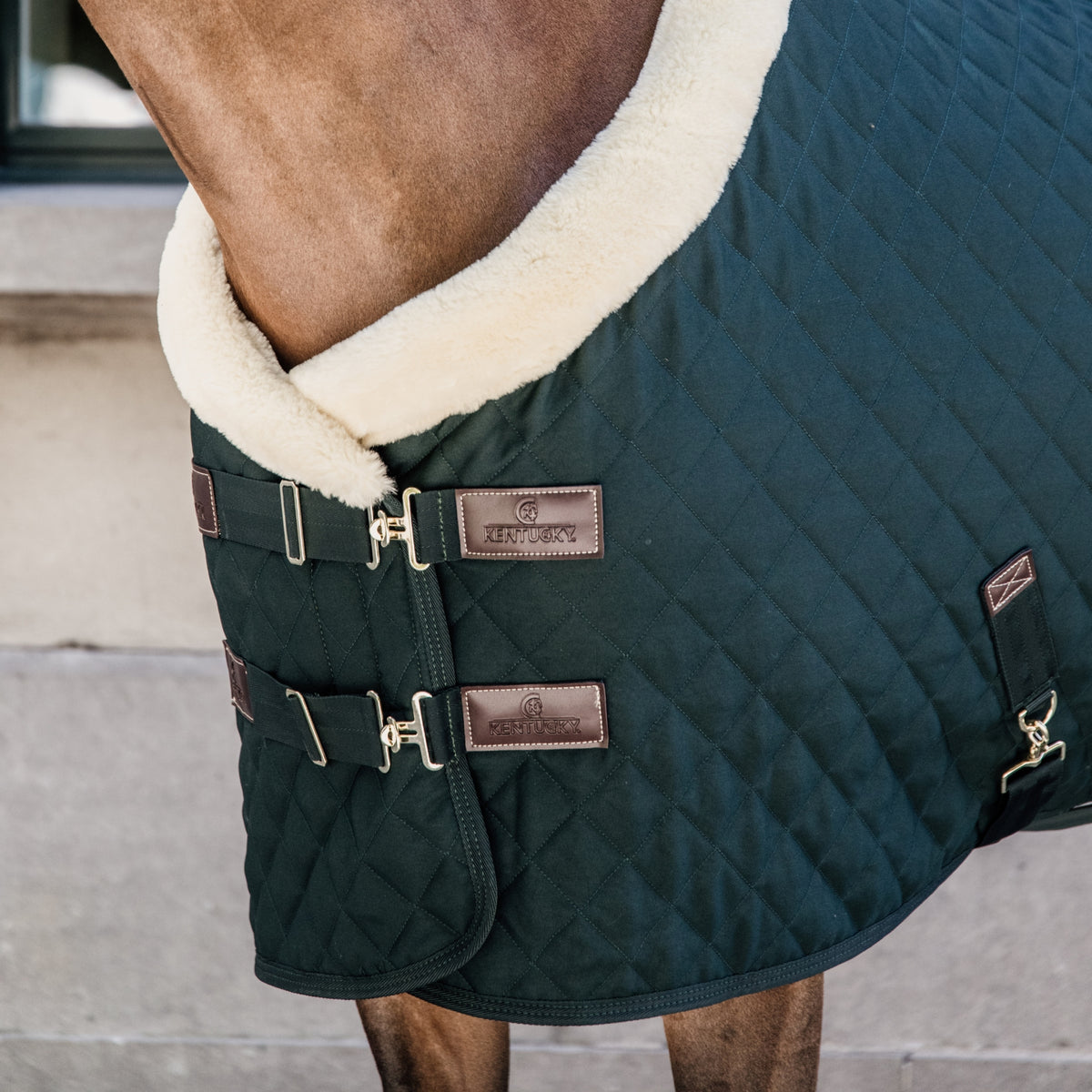 Kentucky Horsewear Show Rug, Dark Green – Dapper Horse