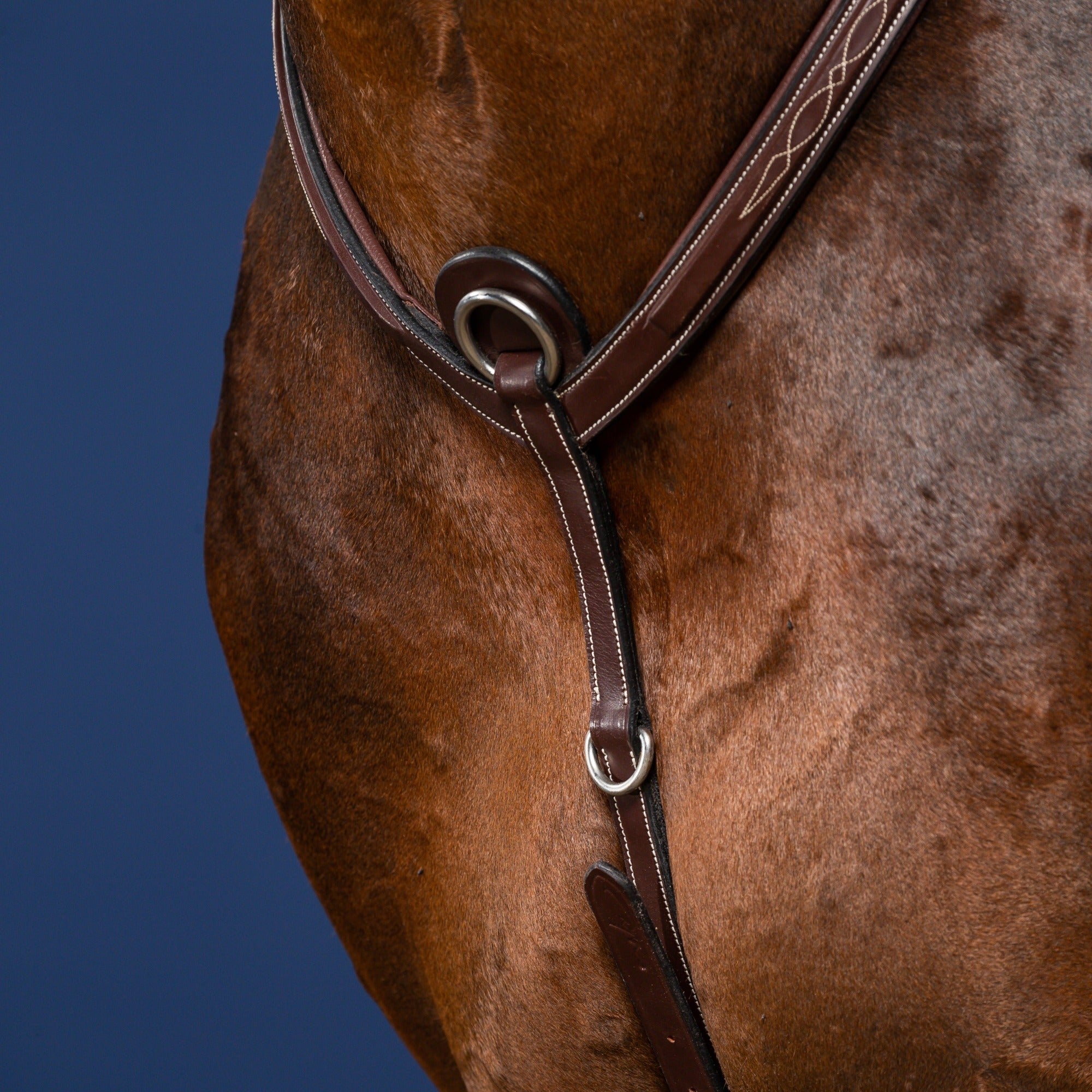 Dy'on Bridge Breastplate, Brown, US Collection – Dapper Horse