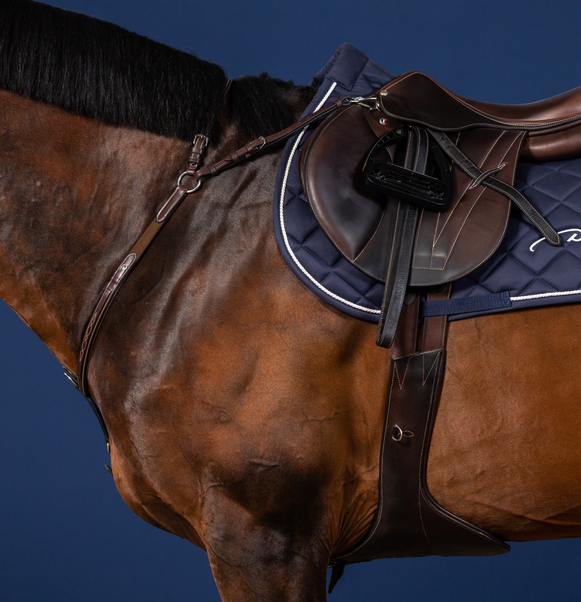 Dy'on Bridge Breastplate, Brown, US Collection – Dapper Horse