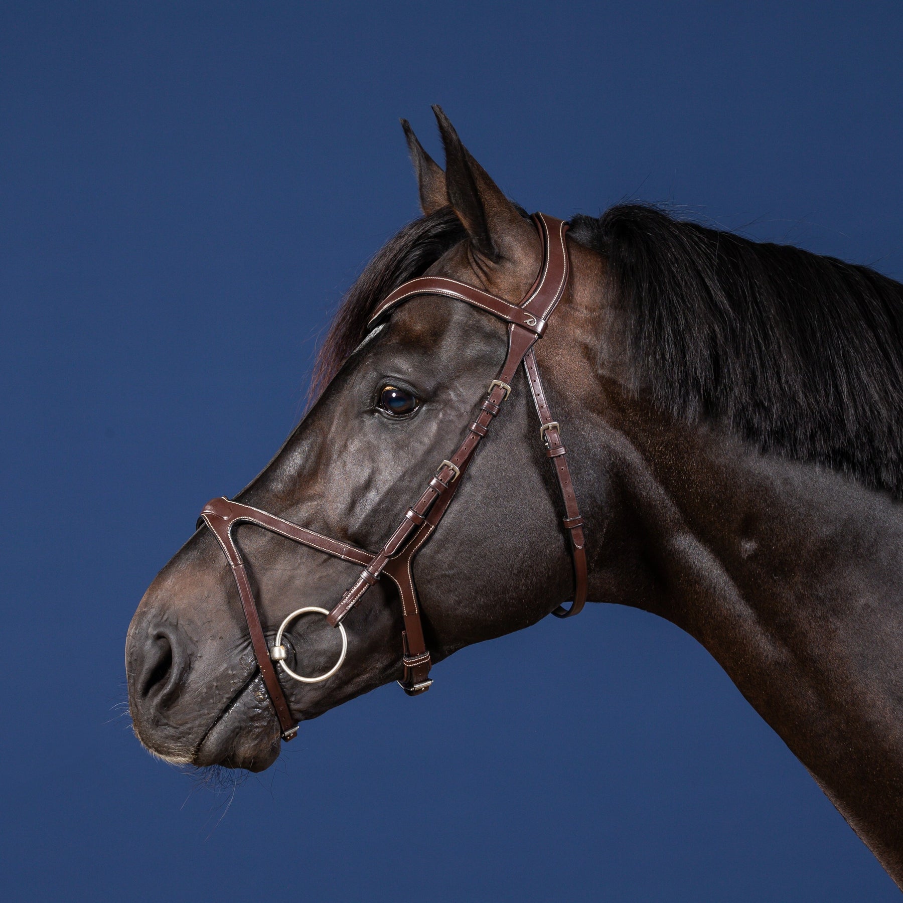 Dy'on X-Fit Bridle, Brown, US Collection – Dapper Horse