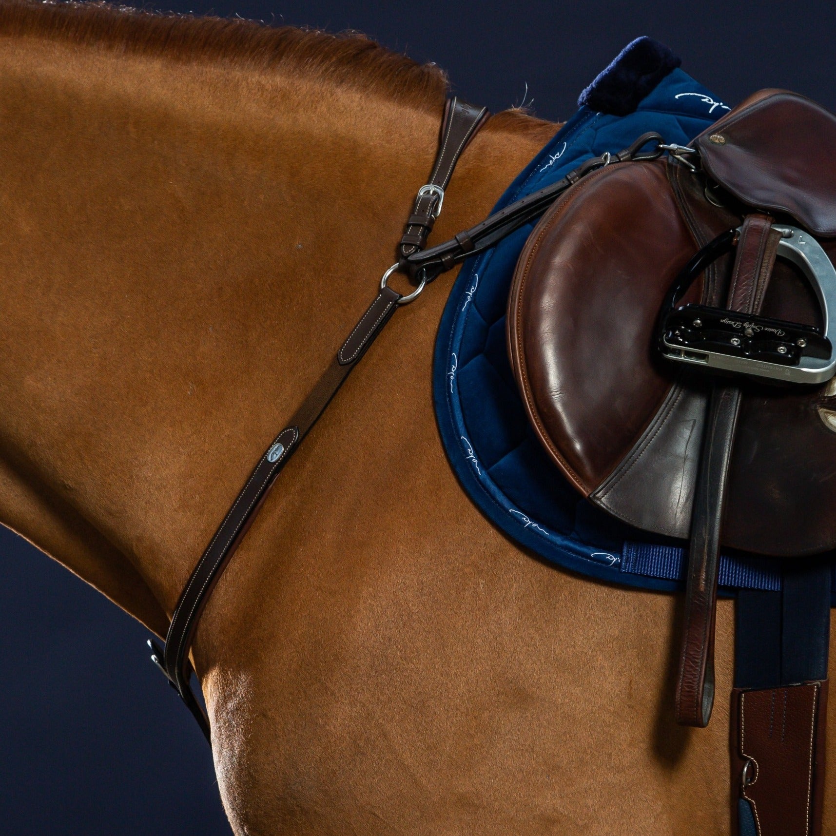 Dy'on Bridge Breastplate, Brown, Working By Dyon – Dapper Horse