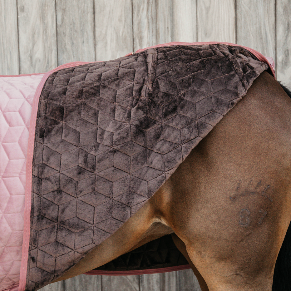 Kentucky Horsewear Show Rug Velvet 160g, Old Rose – Dapper Horse