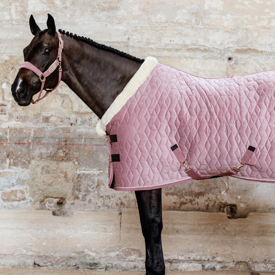 Kentucky Horsewear Show Rug Velvet 160g, Old Rose – Dapper Horse