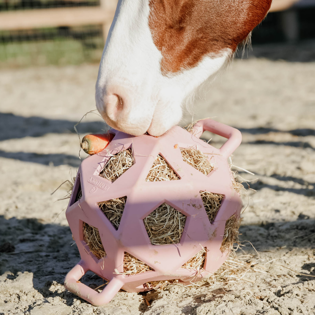 Kentucky Horsewear Relax Horse Play & Hay Ball, Old Rose – Dapper Horse