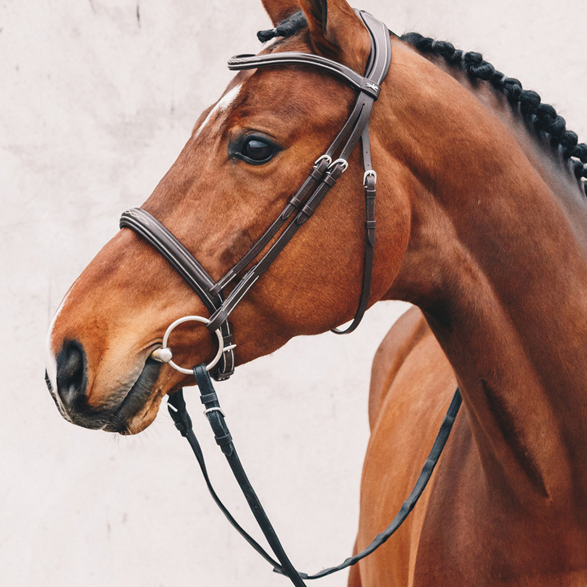 Schockemohle Montreal Select Anatomical Bridle, Espresso/Cream/Silver ...