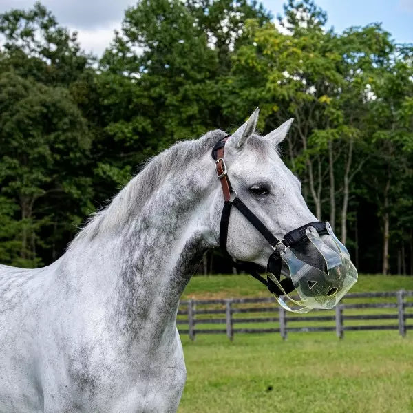 ThinLine Flexible Filly Slow Feed Grazing Muzzle – Dapper Horse