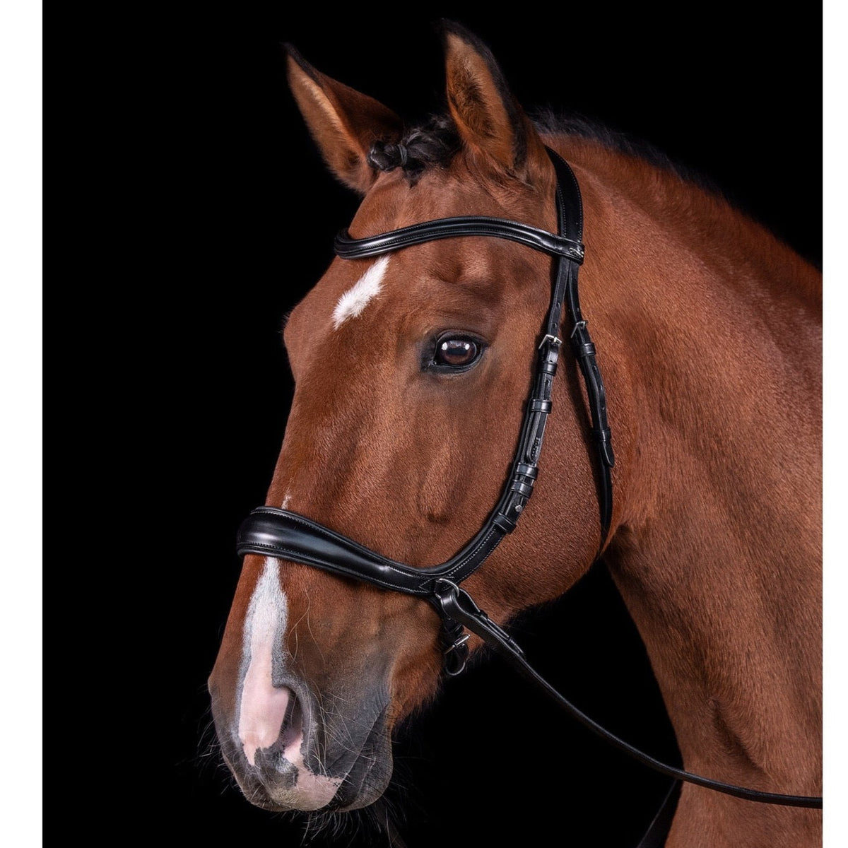 Schockemohle Equitus Theta Anatomical Special Bitless Bridle, Black/Si ...