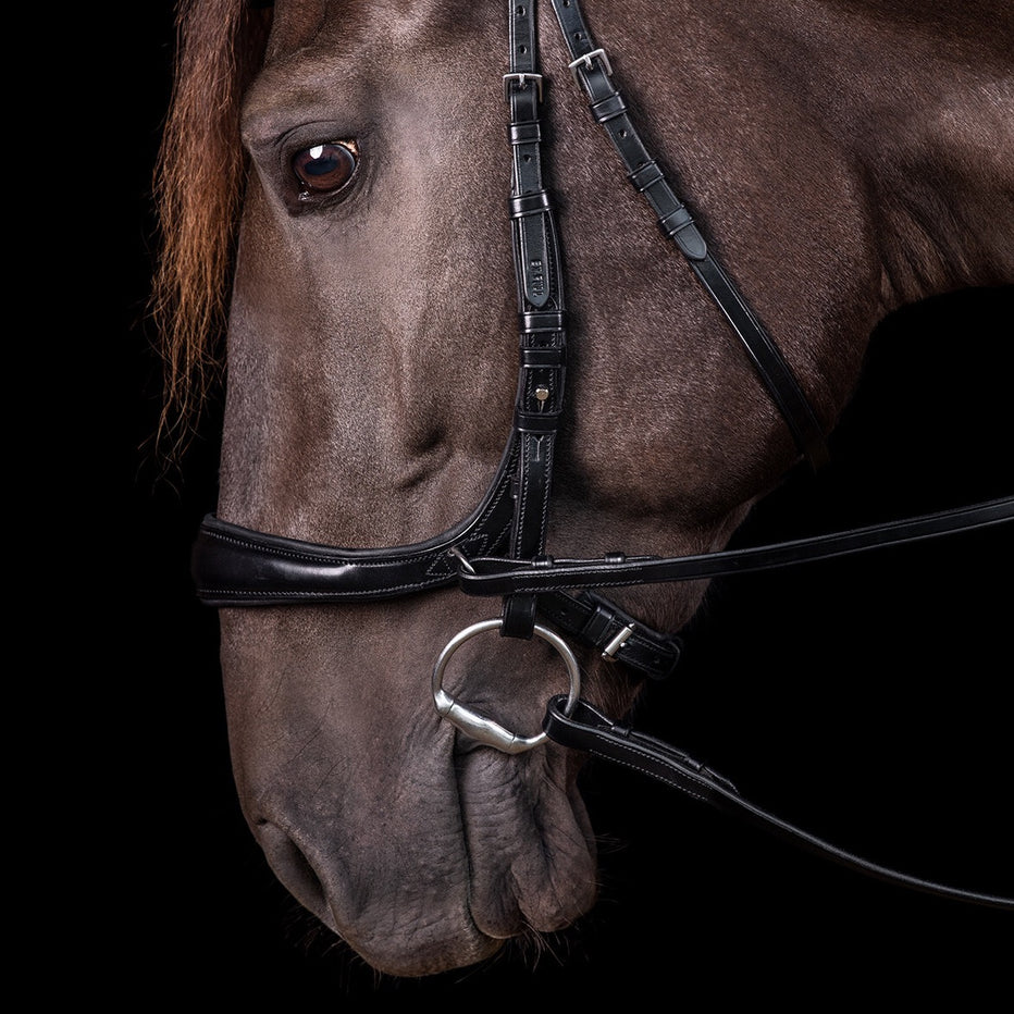 Schockemohle Equitus Theta Anatomical Special Bitless Bridle, Black/Si ...