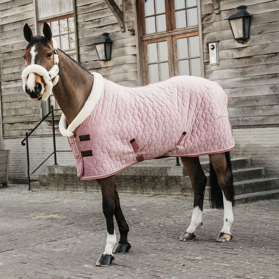 Kentucky Horsewear Show Rug Velvet 160g, Old Rose – Dapper Horse